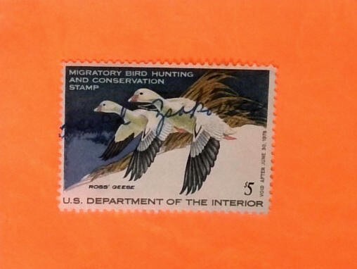1977 RW44 Federal Interior Waterfowl Duck Hunting Stamp License Tag ...