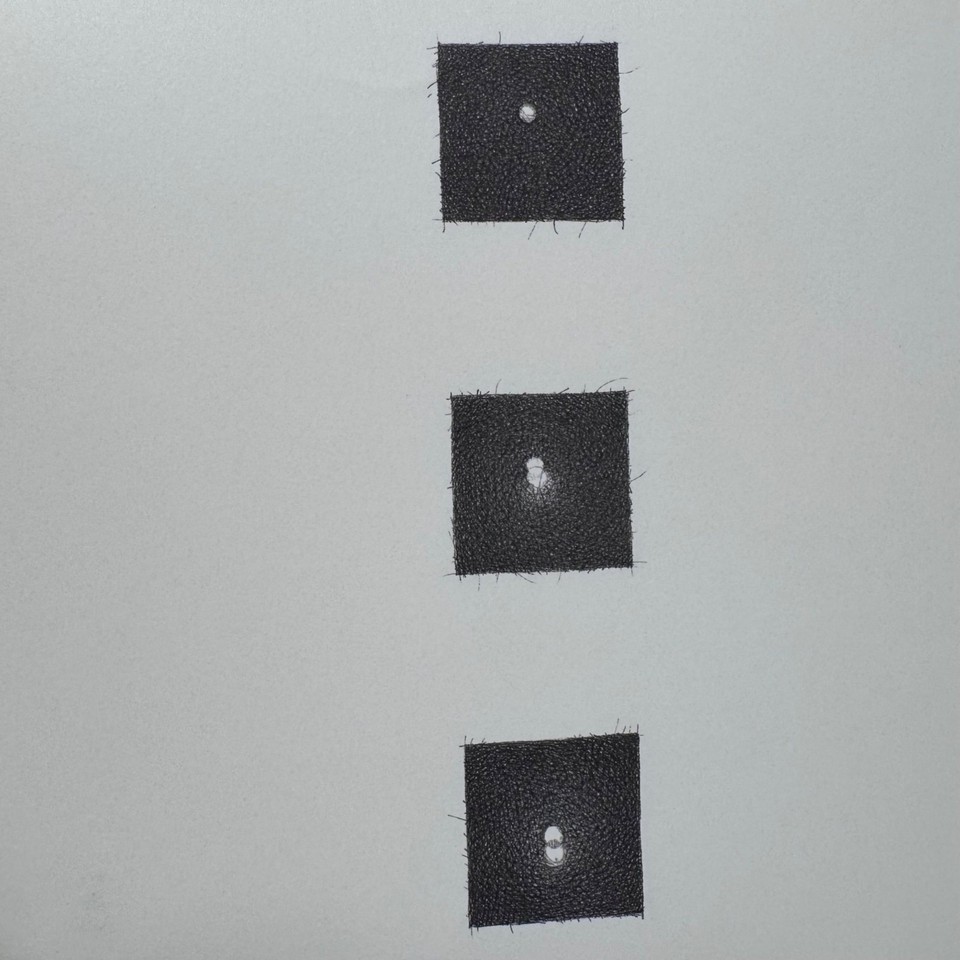 Christine Taylor Patten Micros Art Book 1999 Stinehour Press 1st ...