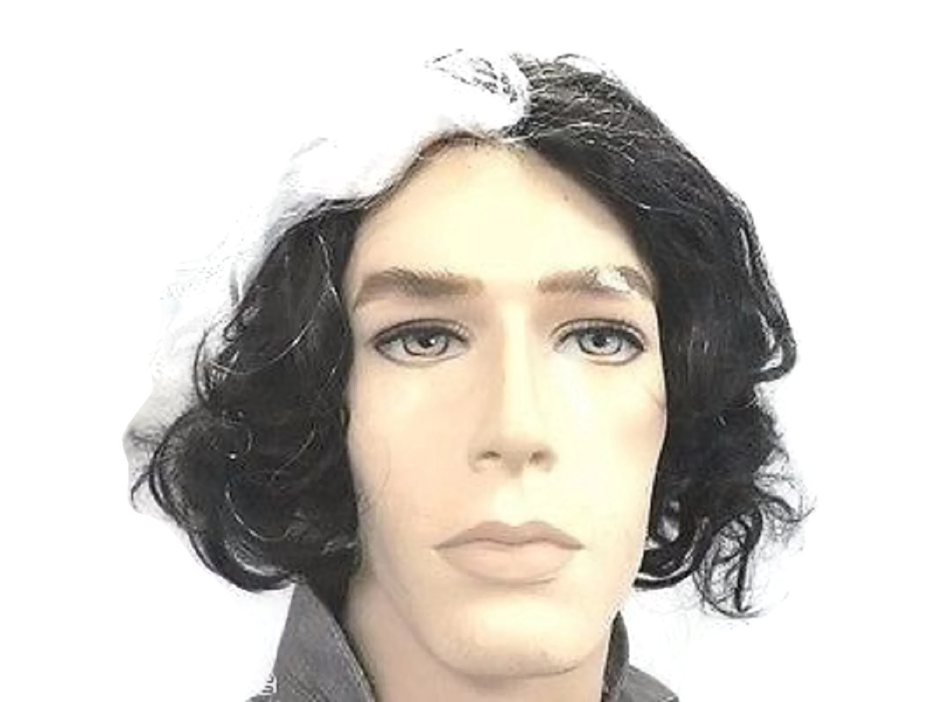 SWEENEY TODD Adult Hair WIG Demon Barber Of Fleet Street Costume movie ...