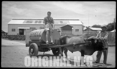 1930s SHELL OIL COMPANY Philippines OX CART DELIVERY Drums HOURS Photo ...