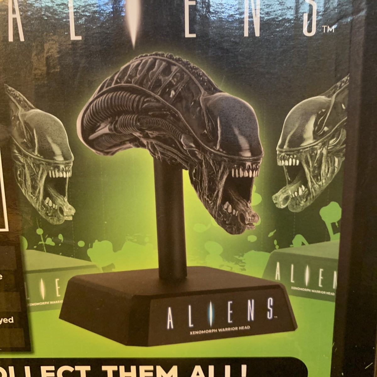 Cranio Xenomorfo Trofeo Testa Di Xenomorfo Dipinta A Mano ALIEN
