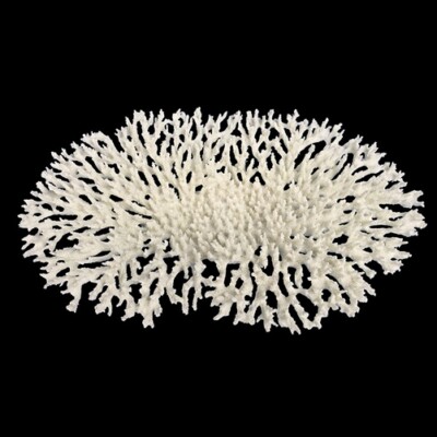 WECO South Pacific Coral Replica Oval Tabletop Coral - Lrg | eBay