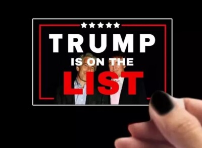 Anti Donald Trump Jeffrey Epstein 2024 Glossy Vinyl Waterproof Sticker ...