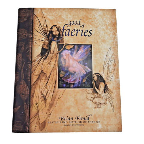 Fantasy Fairies Good Faeries Bad Faeries by Brian Froud 1998 2 Books In ...
