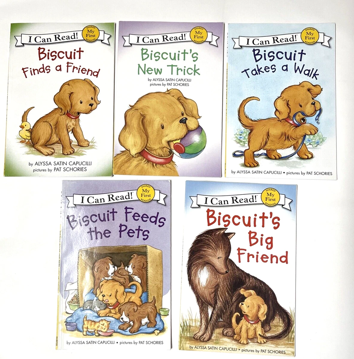 Biscuit Friend Book