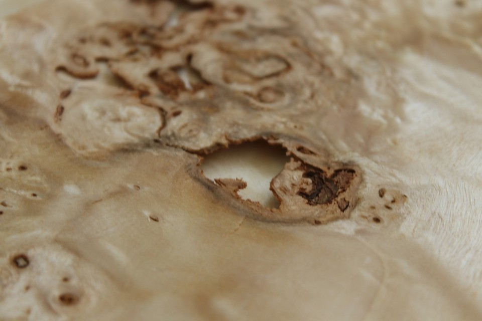 Mappa burl Poplar burl wood veneer, 6 sheets, ~0.55mm ~1/45" | eBay