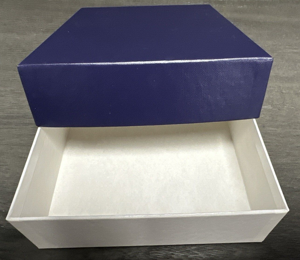 REBOXX Model Train Boxes 10" X 8" X 2-5/8" Inside Dim. Ultra Blue Empty ...