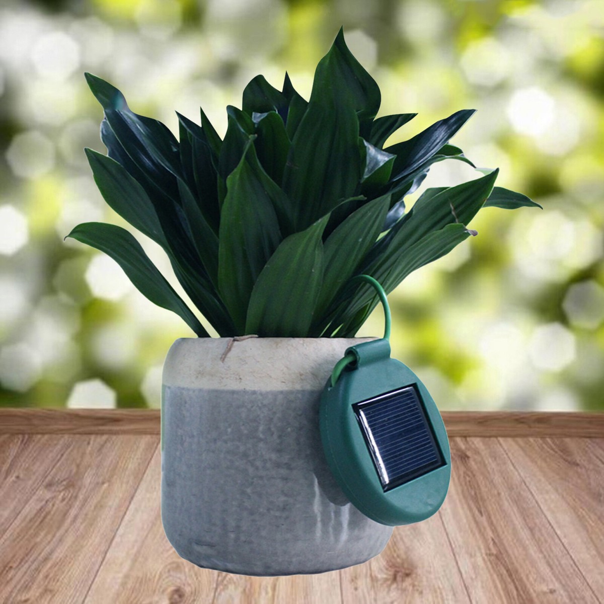 Solar Lighted Flower Pot Table