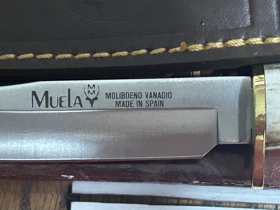 Cuchillo Deportivo Muela Fury Stag Handle Made Spain. NEW! | eBay