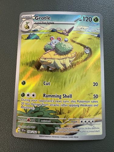 Grotle 164/162 Illustration Rare Sv05: Temporal Forces Pokemon NM | eBay