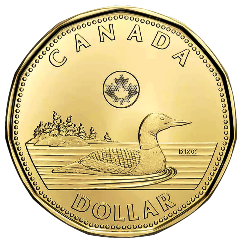 🇨🇦 Canada New Effigy $1 Dollar Coin Loonie, King Charles III, 2023 | eBay