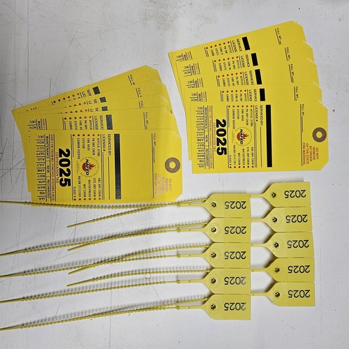 10-FIRE INSPECTION 2025 Double Sided Tags 5 1/4" X 2 ½" | eBay