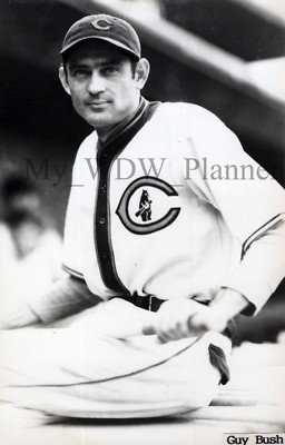 Vintage Photo 11 - Chicago Cubs - Guy Bush | eBay