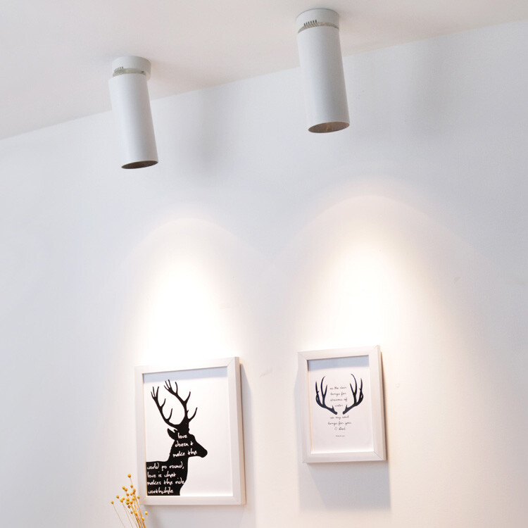 LED COB Ceiling Wall-Back Light Adjustable Lamp Picture Focus Spotlight ...