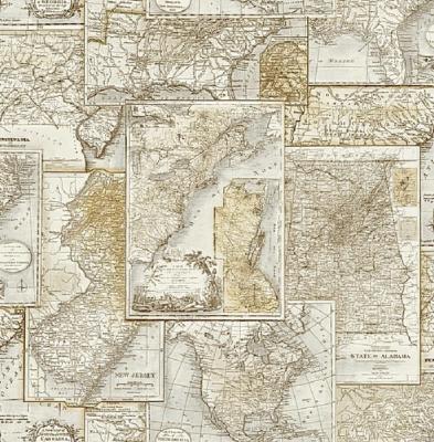 Wallpaper Designer American Maps Tan and Beige Gray Background ...