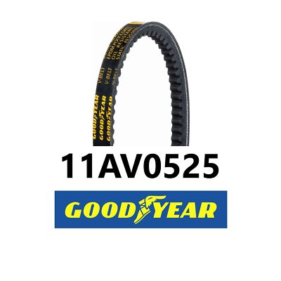 Courroie Trapèzoidal Audi A4 - A6 - Volkswagen Passat 11AV0525 Pour ...