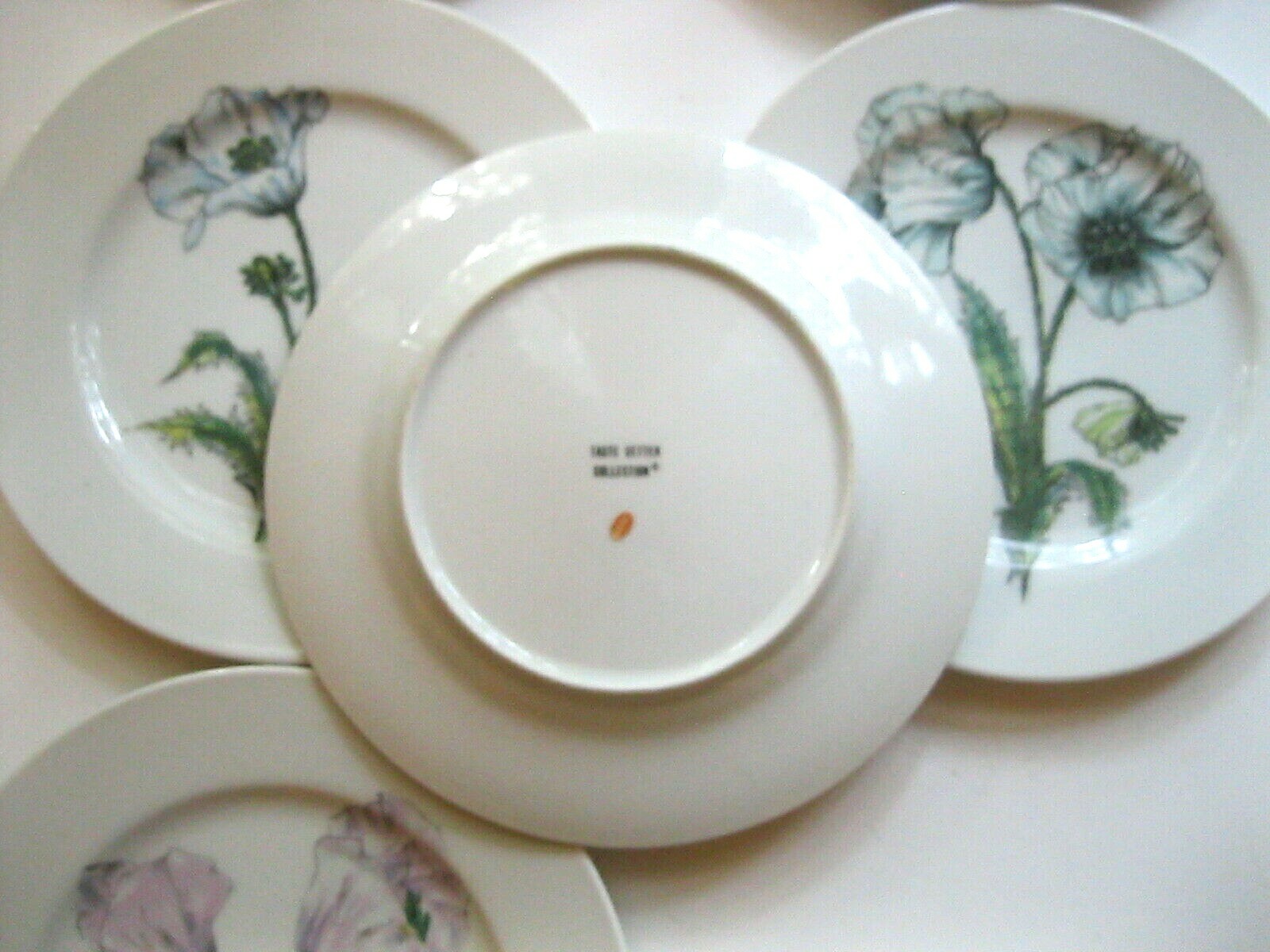 Taste Setter Collection Set 6 Plates Salad/Dessert Multicolored Flowers ...