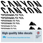 Canyon Sticker | eBay UK