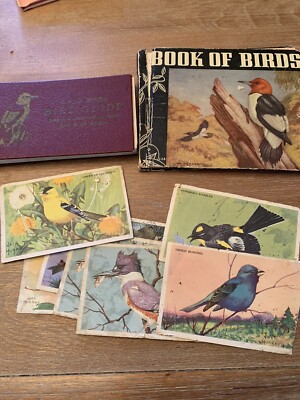 Lot Of Bird Books Book Of Birds Lewis H. Mills And Bird Guide Chester A ...