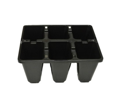 6 Cell Punnet x 36pcs - Great for Seedling & Plant Cutting Propagation ...