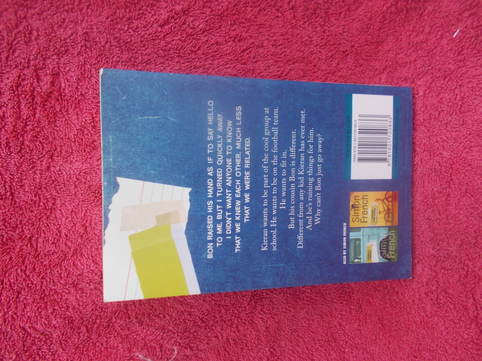 OTHER BROTHER SIMON FRENCH P/B | eBay