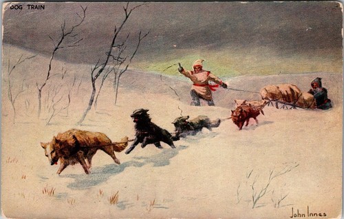 Vintage Postcard Cowboy "Dog Train" Sled by Artist Signed John Innes ...