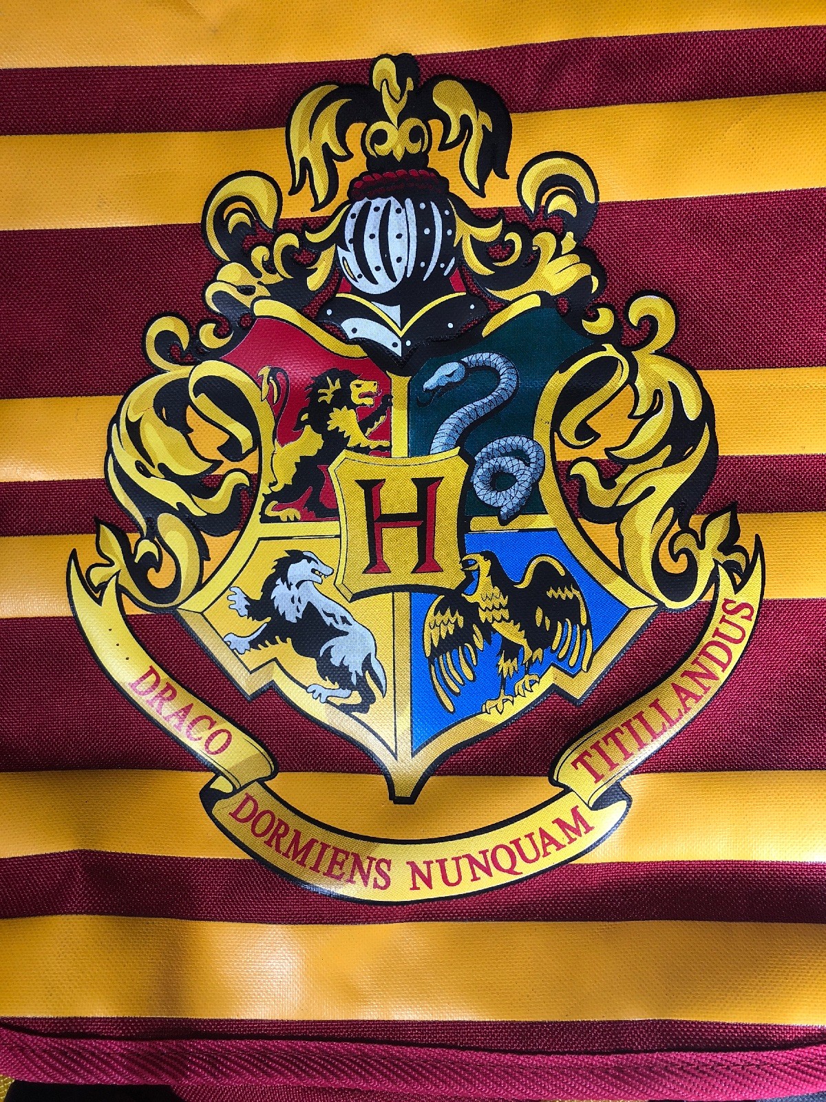 Harry Potter Draco Dormiens Nunquam Titillandus Backpack | eBay