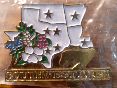 Southwest Area Southwest Airlines Vintagel Pin NEW | eBay