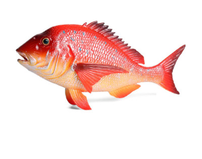 17cm Red Snapper Fish PVC Toy Ocean Sea Animal Figure Kids Gift | eBay