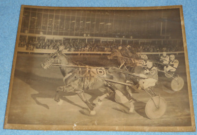 1977 Harness Racing Photo Horse "Turn To Speed" Bill Gale Windsor ...