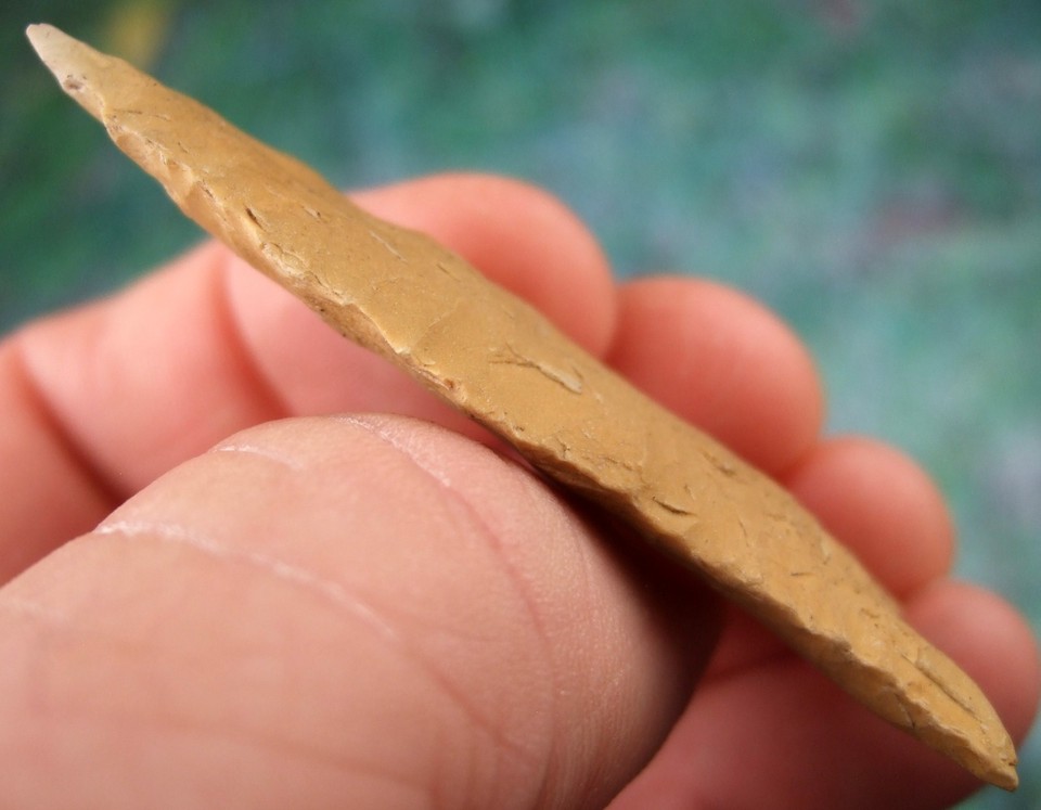 Super Fine Colorful Florida Coastal Flint Wheeler Point with COA ...