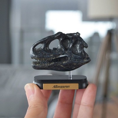 Allosaurus Skull Mini Figure Dinosaur Mini Model Favorite New | eBay