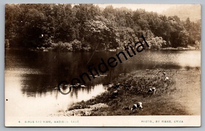 Real Photo Birds-Eye View Madison Lake Utica NY Fisk Photo New York RP ...