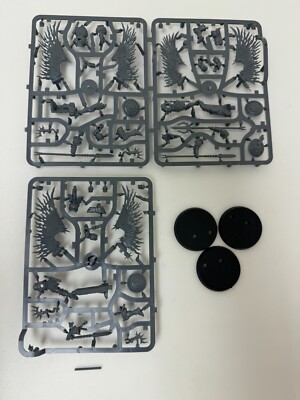 Warhammer AOS Skaventide Stormcast Eternals Prosecutors (3) D Damaged ...