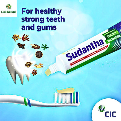 Link Sudantha Herbal Toothpaste Homeopathic Oral Protection Ayurvedic ...