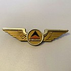 Delta Airline Junior Pilot Wings Pin Plastic | eBay