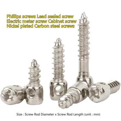 M4 Phillips screws Lead sealed screw Electric meter bolts Self-tapping ...