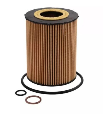 Premium Oil Filter 11427521008 HU823x for BMW 550i 650i 750Li 750i 4.8L ...
