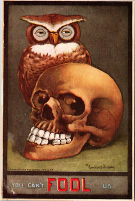 You Can't Fool Us by Bernhardt Wall Art April Fool Skull & Owl Postcard ...