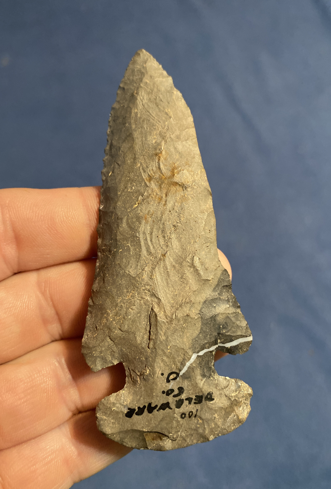 MLC s9659 Archaic Dovetail Thebes Bevel Arrowhead Delaware Co Ohio ...