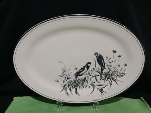 Robert Gordon. Rosellas. Serving Plate. (35cm x 23.5cm). Made In China. | eBay Australia