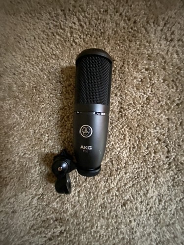 AKG P120 High-Performance Recording Microphone - w/POP FILTER ...