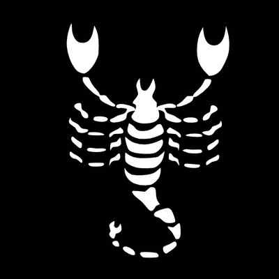 SCORPIO Scorpion Zodiac Astrology Vinyl Decal Car Wall Sticker CHOOSE ...