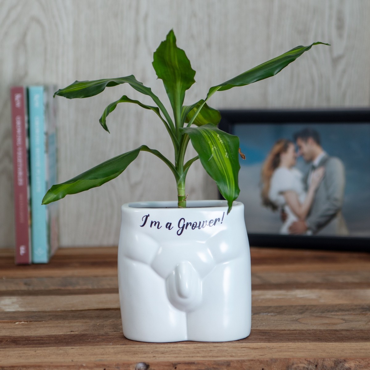 Flower Pot Memes Amazon.com : GUGUGO Colorful Sunflower Bee Flower