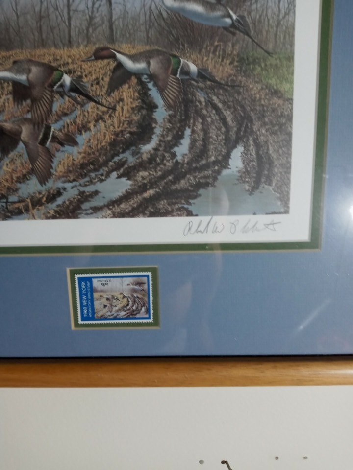 1988 New York State Duck Stamp And Print pintail ducks | eBay