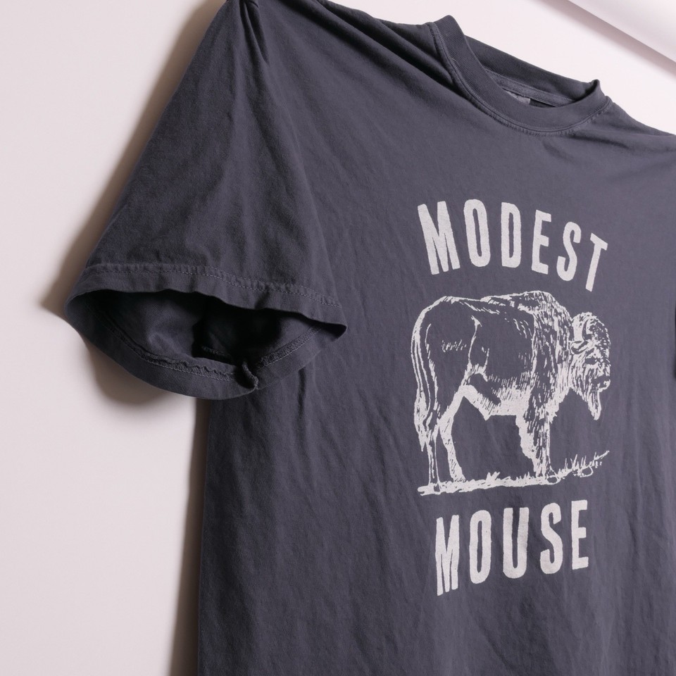 Modest Mouse Lonesome Crowded West Band Tee Buffalo Varsity Faded Shirt ...