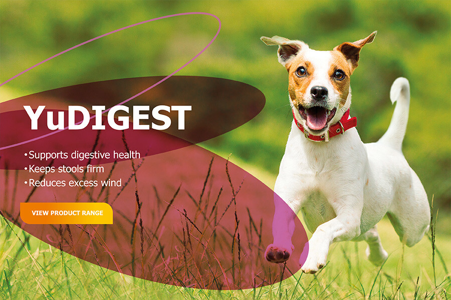 Lintbells+YuDIGEST+Dog+Digestive+Health+Supplement+-+60+Tablets for ...