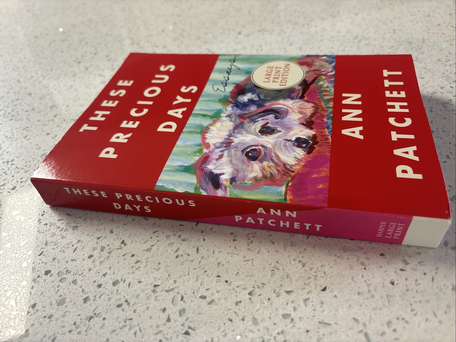 These Precious Days : Essays by Ann Patchett (2021, Trade Paperback ...