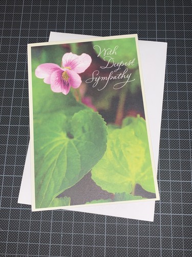 Hallmark Sympathy Card: Nature Floral Caring Thoughts Comfort You Time ...