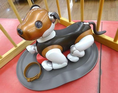 SONY Aibo ERS-1000 Chocolate Edition Dog-Shaped Virtual Pet Robot Japan JP | eBay